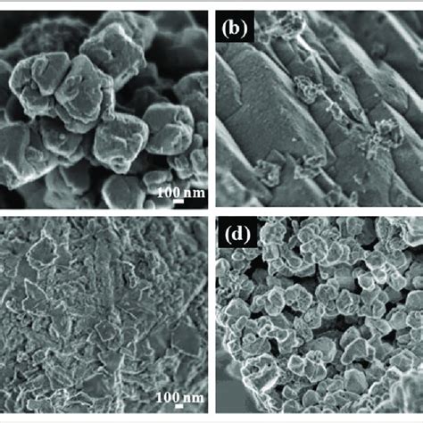 FESEM images of zeolites a Y magnification Â50 000 b ZSM 5