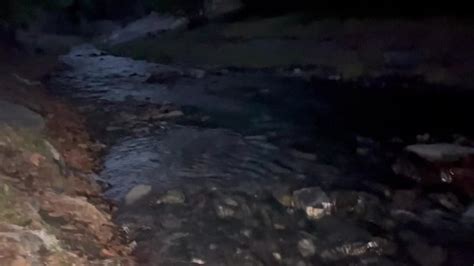 سکس تو جنگل رفتن تو چادر لیدر وقتی شوهرم خواب بود Jungle Bird Sings Xxx Mobile Porno Videos