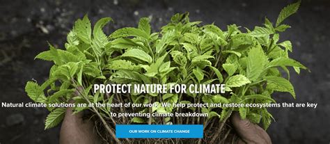 10 Best Tree Planting Organizations And Charities In 2022 Nonprofit Point