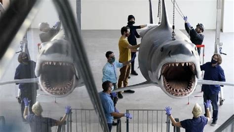 Jaws Replica Shark Model Restored Installed At Academy Museum Of
