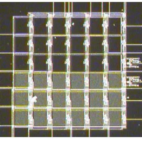 Photograph Of The Photodetector Array Phototransistors Top Three Download Scientific Diagram