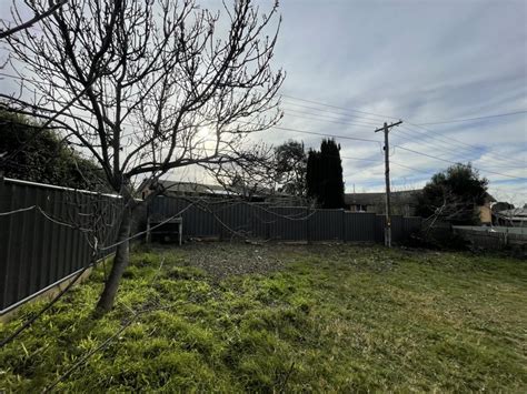 Residential Arborist Canberra Priority Tree Care