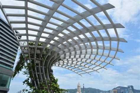 Trellis Structure At Avenue Of Stars In Tsim Sha Tsui Hong Kong