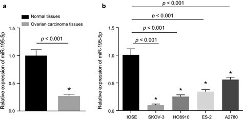 Mir 195 5p Is Poorly Expressed In Oc Tissues And Cells A Expression Of