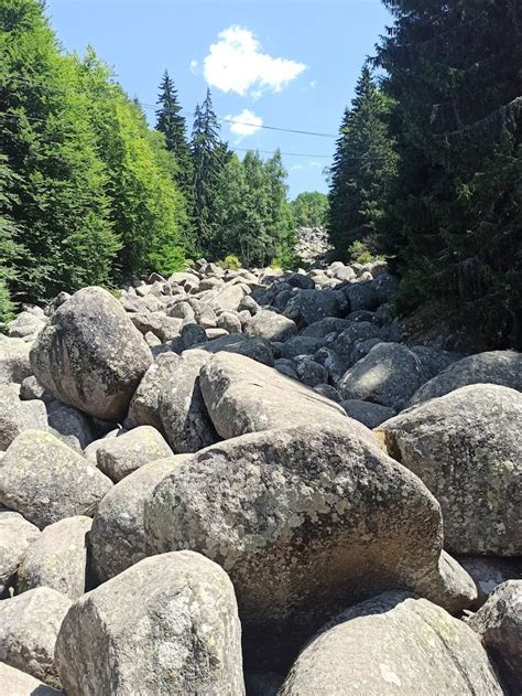 גשרי הזהב ויטושה בולגריה טסים ונהנים