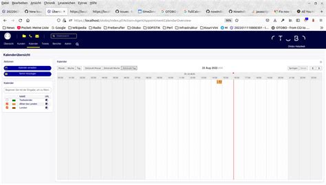 The Now Indicator In The Calendar Overview Ignores The Agents Time Zone