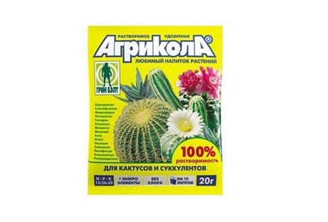 Удобрение для алоэ в домашних условиях или подкормка для столетника