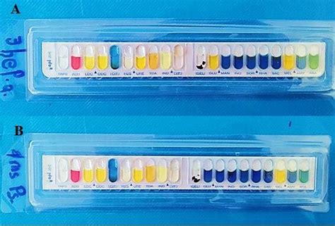 Showing Suspected P Fluorescens On Api 20e Strips Download