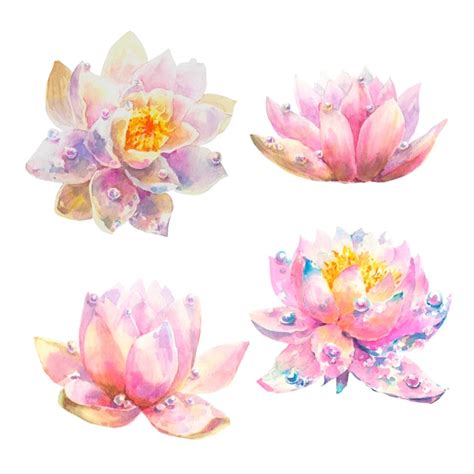 Fleurs De Nénuphar Avec Des Gouttes De Rosée Aquarelle Illustration Set