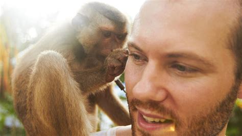 49 Cases Of Monkey Fever 2 Deaths Reported In Karnataka Heres