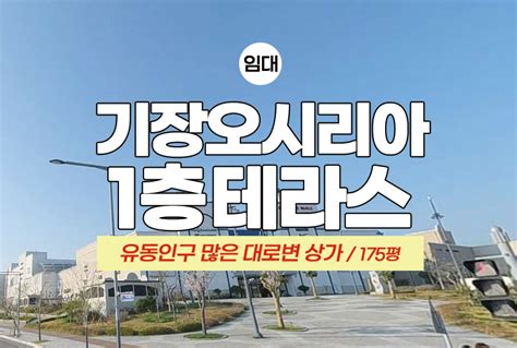 부산상가임대 기장 오시리아관광단지 대로변 1층 테라스 170평대 무권리 애견카페 패밀리레스토랑 프랜차이즈 매장 매물 네이버 블로그