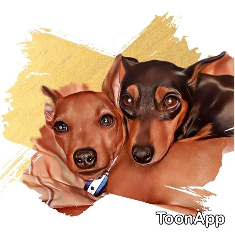 Miniature Pinscher Min Pin Puppies For Sale In Tennessee