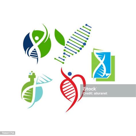 遺傳健康設計插圖圖示概念向量集向量圖形及更多健保和醫療圖片 健保和醫療 分子 印尼 Istock
