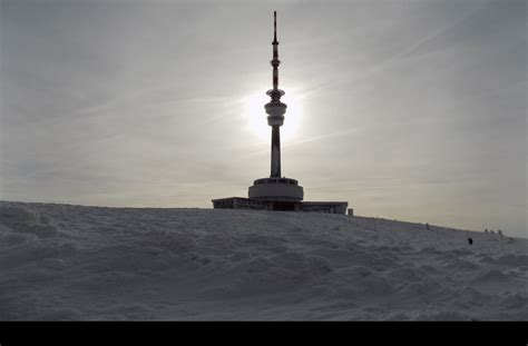 Wallpaper Cz Příroda Flora Praděd Stažení 1600x1050