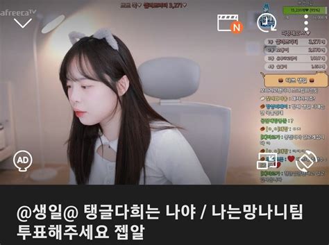 오늘 생일인 탱글 다희 숲 Soop 에펨코리아