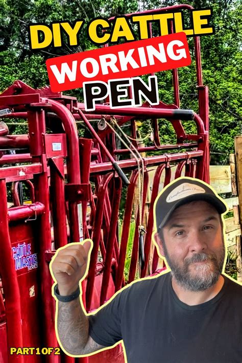 How We Build a Cattle Working Pen: Practical Tips for Small Farmers in 2025 | Cattle, Farm tech, Pen