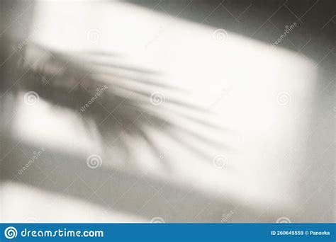 Sombras De Folha De Palha Numa Janela Na Parede Fundo Texturizado Em