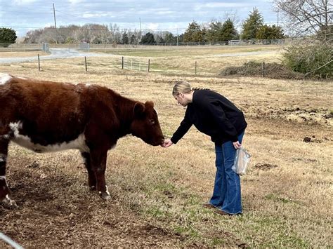 Nutrena Nutrebeef Cattle Cube Supplement 50 Lb At Tractor Supply Co