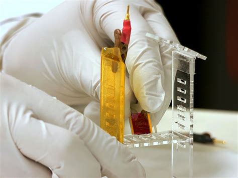 Video Multi Analyte Biochip Mab Based On All Solid State Ion Selective