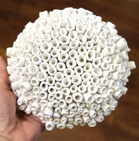 Coral 3d Coral Reef Wall Sculpture Clay Sculpture Nataliya Stupak