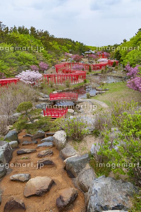 高山稲荷神社の千本鳥居 日本青森津軽の写真素材 278983159 イメージマート