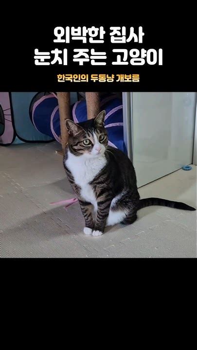 나가 살지 집에는 왜 오셨어요 Youtube