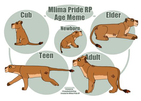 Tsiras Age Meme [mlima] By Kitnjinx On Deviantart