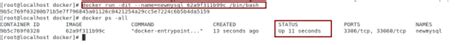 Docker 镜像操作，容器操作，使用mysql镜像docker执行的不是操作系统吗为什么会有mysql镜像 Csdn博客