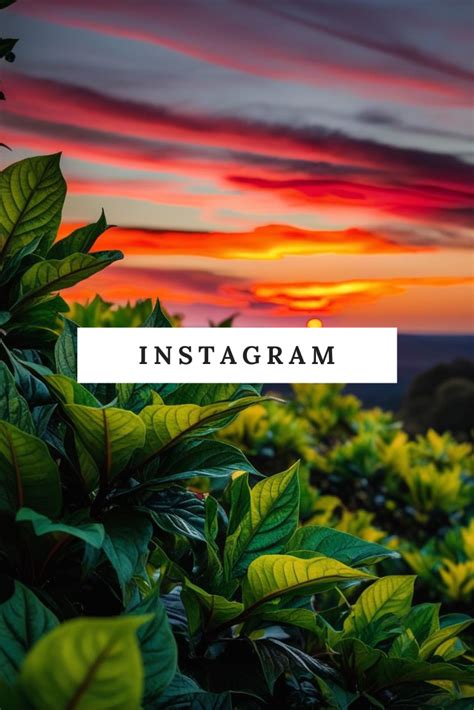 Top 25 Alan Watts Quotes — Peace To The People ♥ A Hub Of Inspiration