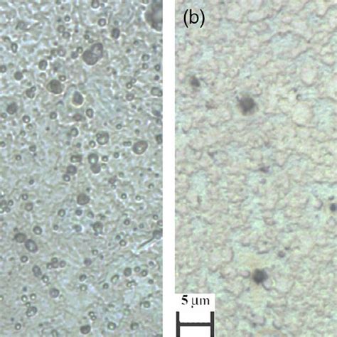 Microstructure Of Cold Drawn Alloy Wires A 05y B 2y Download