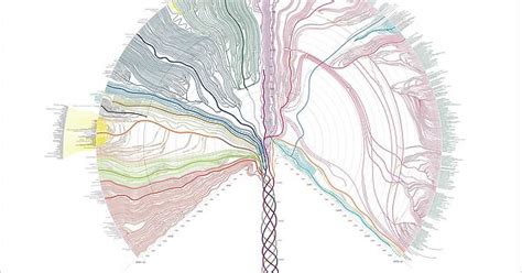 The World Religion Tree A Mapinfographic Documenting The History Of Religious Formations