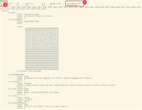 Debug Display