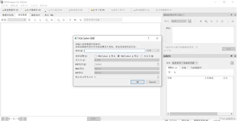 使用sqlcipher对sqlite数据库加密 Csdn博客