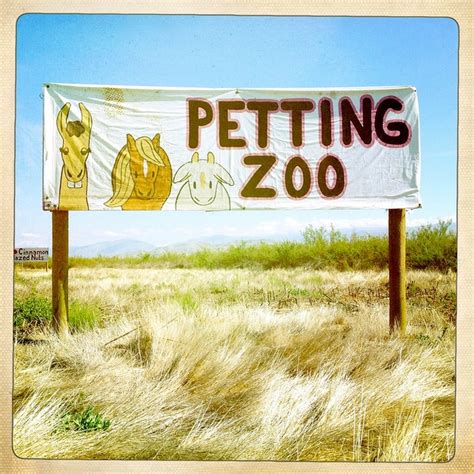 84 Best Images About Farm Petting Zoo Inspiration On Pinterest Animals Miniature And Maze
