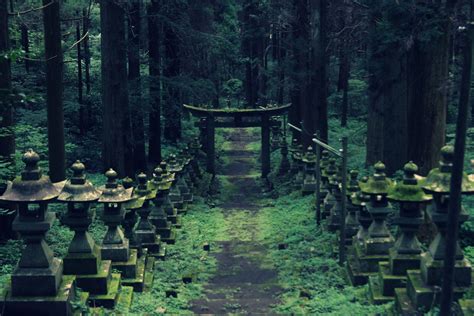 Forest Shrine Paisaje Japon Viaje A Japón Paisaje De Fantasía