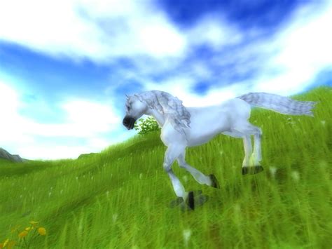 Star stable Online ♥: mOJE KONIE :)