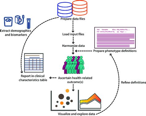 Overview Of The Workflow Download Scientific Diagram