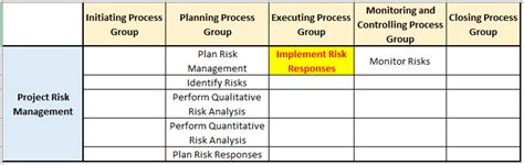Implement Risk Responses Process