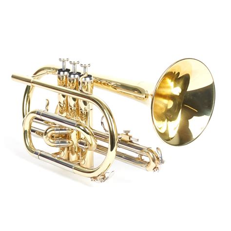 Sanchez Bb Cornet Shop Now