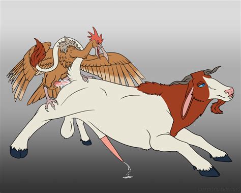 Rule 34 Animal Genitalia Animal Penis Balls Bitterstrawberries Bodily