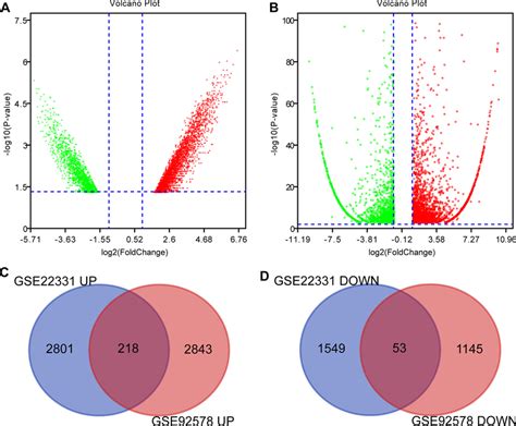 Identification Of Common Degs From Gse22331 And Gse92578 Datasets A