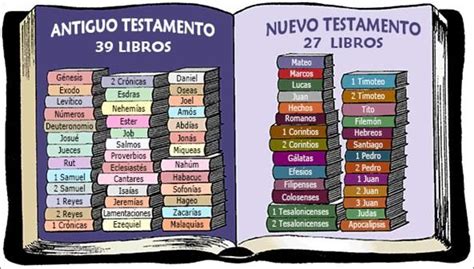 Clasificación de los LIBROS de la BIBLIA LISTA RESUMEN Libros