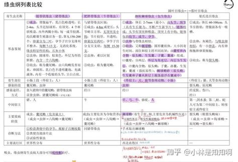 人体寄生虫学笔记 表格复习 知乎
