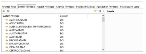 Sap Hana Db Authorization