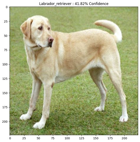 adversarial example using fgsm tensorflow core