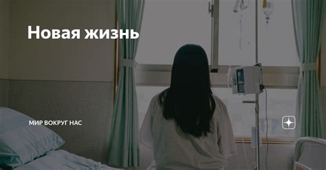 Новая жизнь Мир вокруг нас Дзен