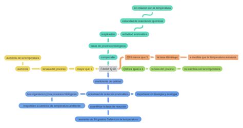 Factor Q10 Coggle Diagram