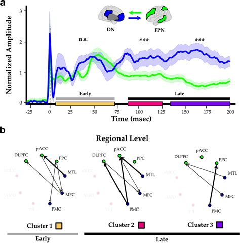 Internetwork Differences In Evoked Activity A Time Series Plots Of Download Scientific