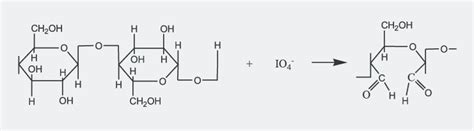Cellulose Oxidation With Periodate Download Scientific Diagram