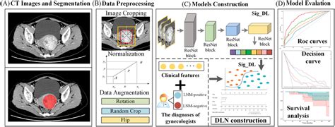 Workflow Of The Development Of Deep Learningbased Nomogram Dln A